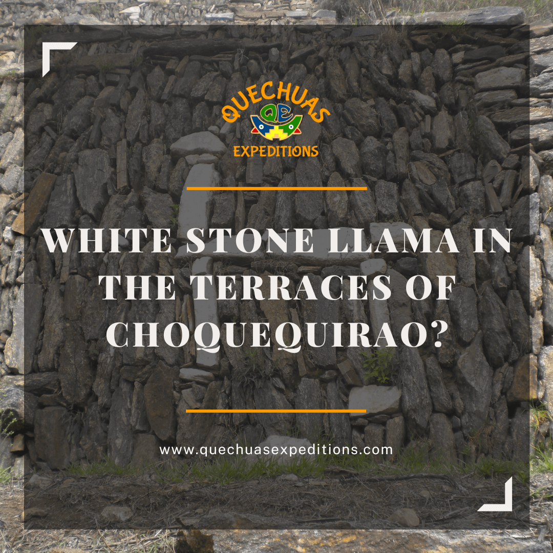 White Stone Llama in the Terraces of Choquequirao? - UPDATED