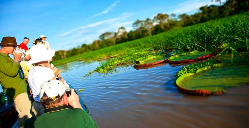 Amazon Manu Jungle Trips - Quechuas Expeditions
